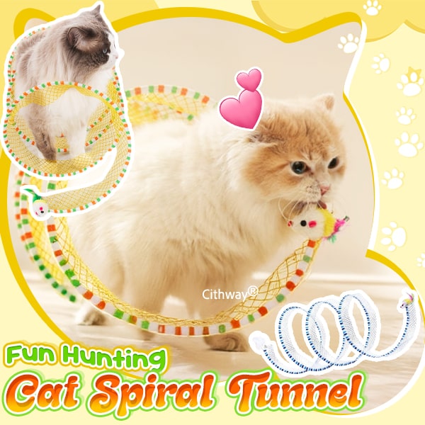 Cithway® Self-play Cat Hunting Spiral Tunnel Toy – Imaginflora